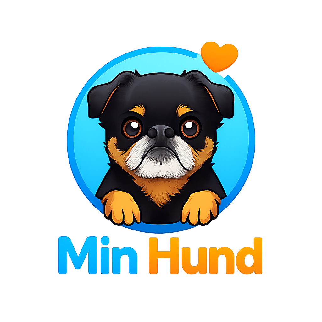 Pudel — komplett raseguide | Min Hund